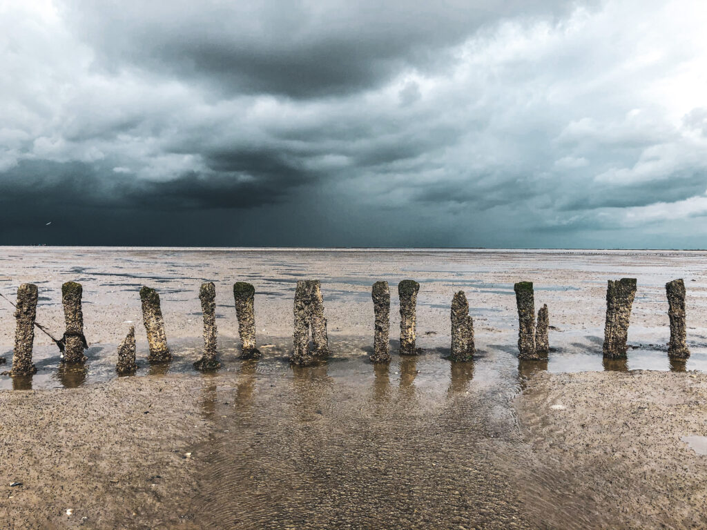 Wadlopen in Nederland - A Travel Note